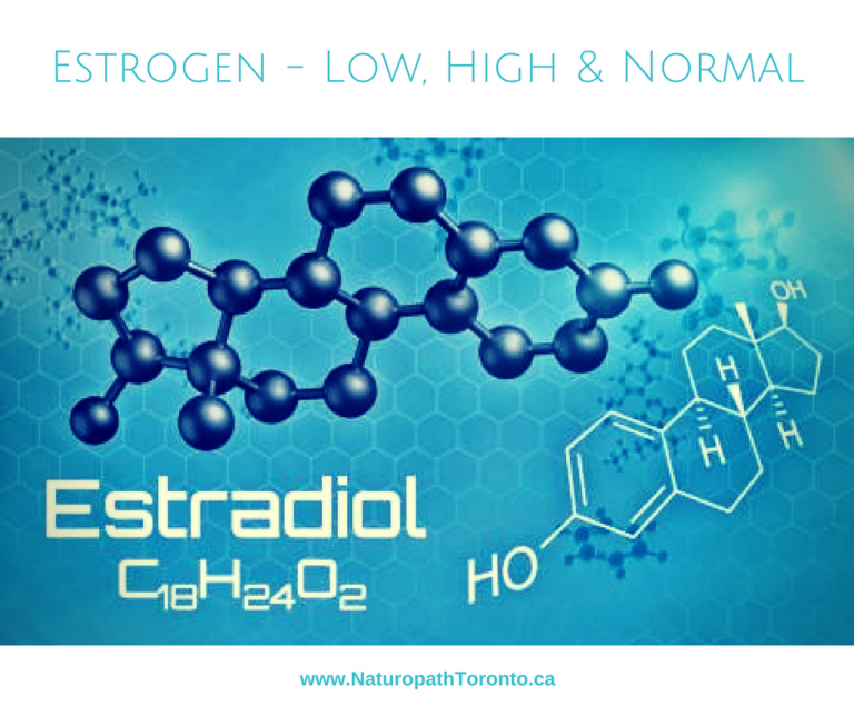 Estrogen - Low, High & Normal Levels - Toronto Naturopath